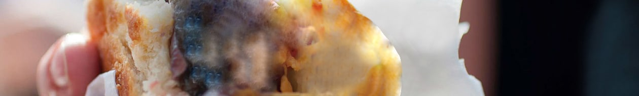 Tastiest, Crunchiest, Sauciest American Sandwiches Recipes